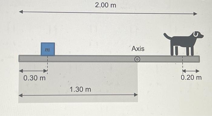 Solved A two-meter-long wooden plank has a mass of 6.0 kg. | Chegg.com