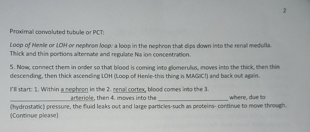 Solved by an EXPERT 2Proximal convoluted tubule or PCT:Loop of Henle or | Chegg.com