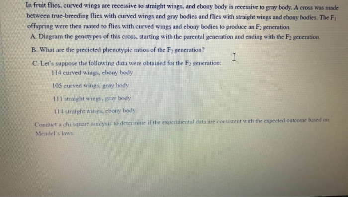 Solved I In fruit flies, curved wings are recessive to | Chegg.com