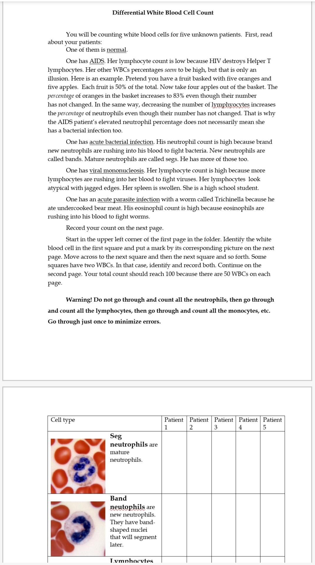 Differential Counting White Blood Cells at Matthew Calzada blog