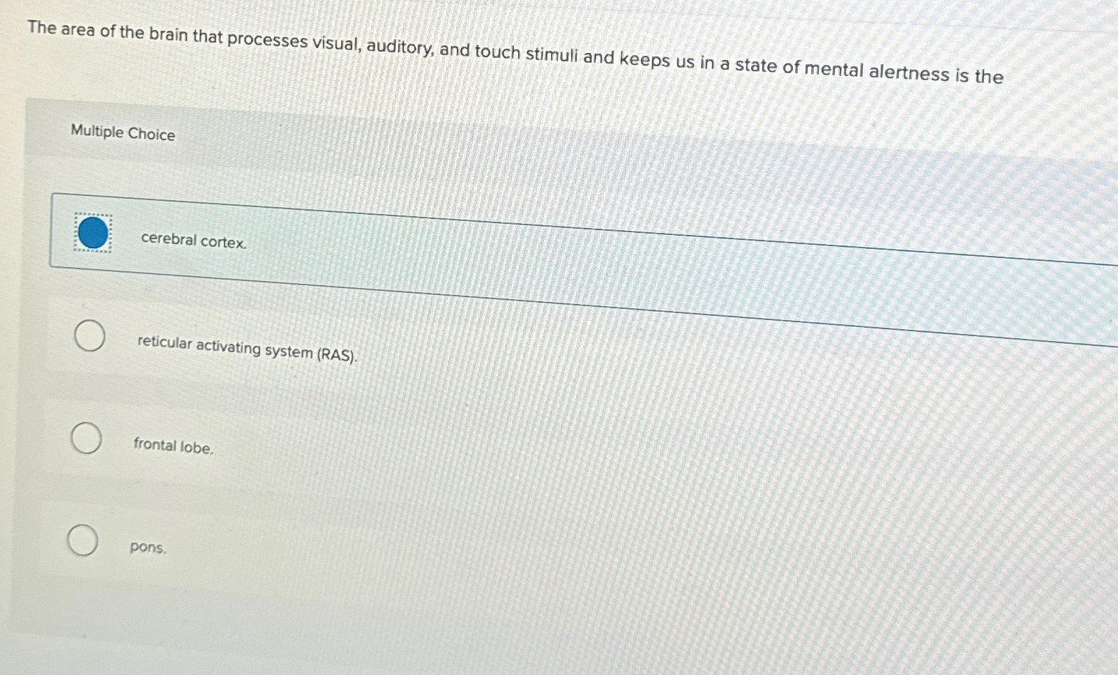 Solved The area of the brain that processes visual, | Chegg.com