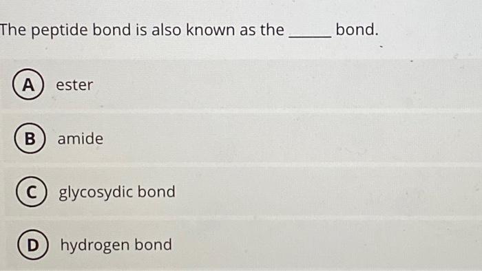 Solved A positive Ninhydrin test results in a depending on | Chegg.com