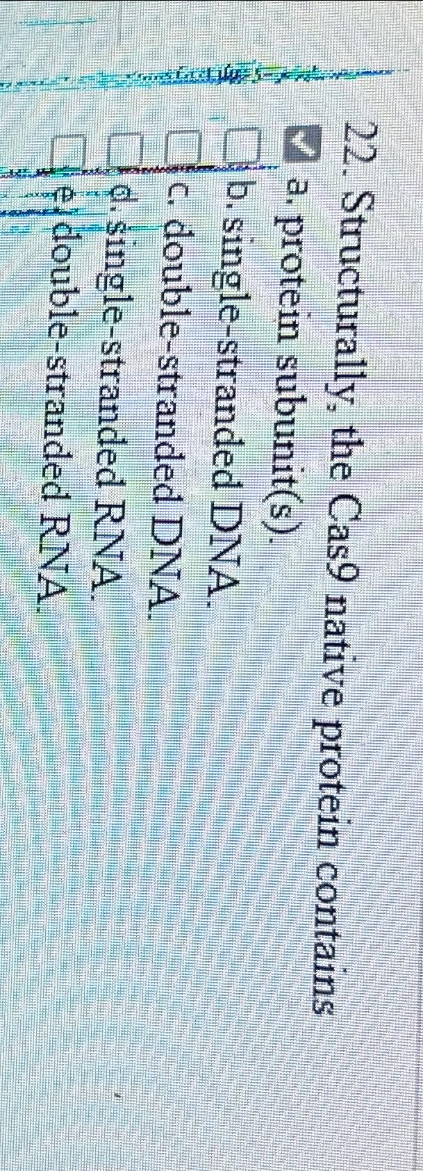 Solved Structurally, the Cas 9 ﻿native protein containsa. | Chegg.com