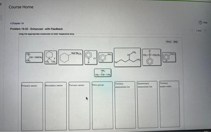 Solved Provide an acceptable name for the following | Chegg.com