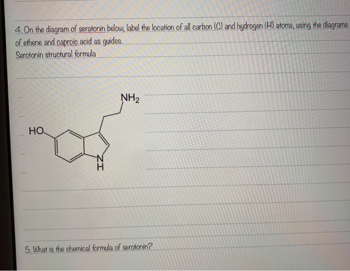 Solved 4. On the diagram of seratonin below, label the | Chegg.com