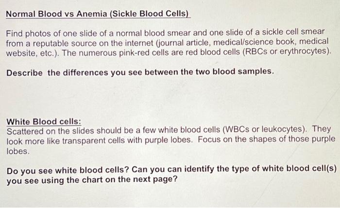 Solved Find photos of one slide of a normal blood smear and | Chegg.com