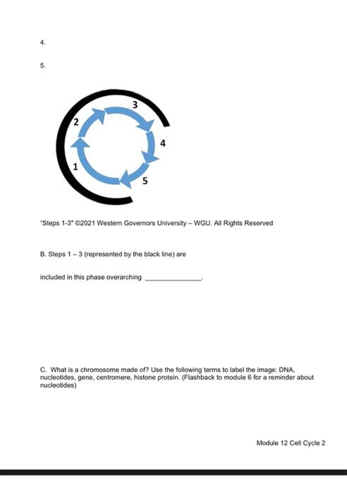 Solved Module 12 Study Questions Cancer cells divide | Chegg.com