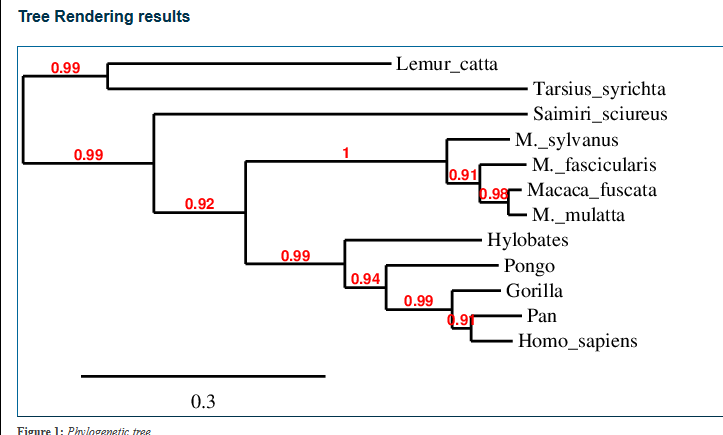 Solved Tree Rendering resultsFigure 1: Pholegenetic | Chegg.com