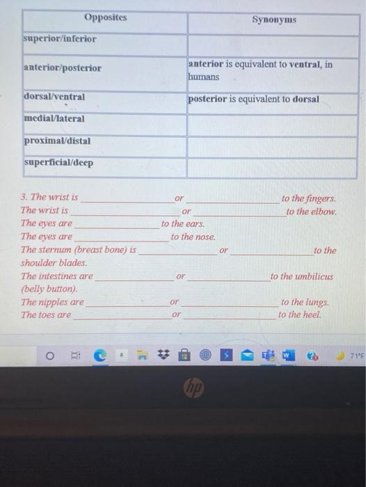 Solved Opposites Synonyms superior/inferior | Chegg.com