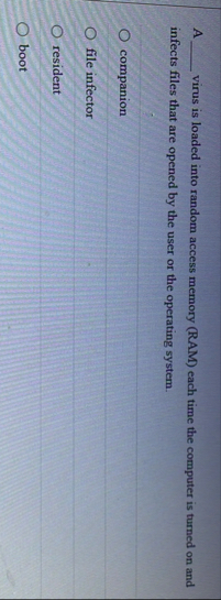 Solved A ﻿virus is loaded into random access memory (RAM) | Chegg.com