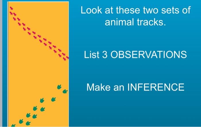 Solved Look at these two sets of animal tracks. List 3 | Chegg.com