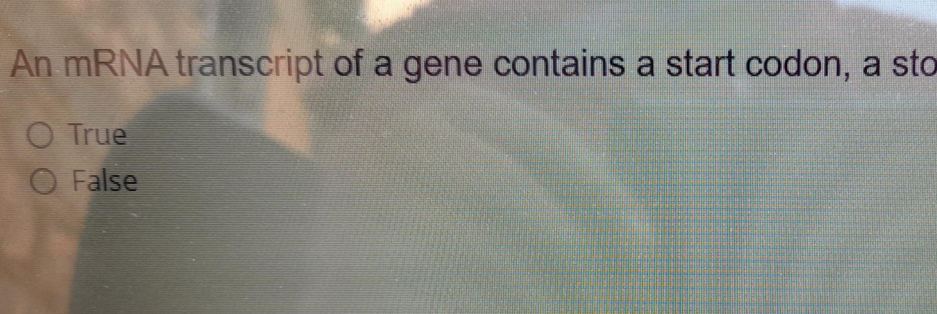 Solved an mRNA transcript of a gene contains a start codon, | Chegg.com