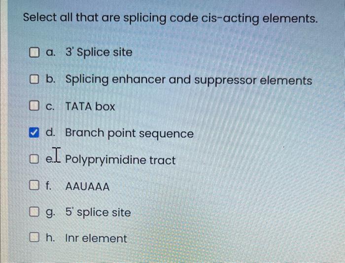 Solved Transposable elements may be classified into | Chegg.com