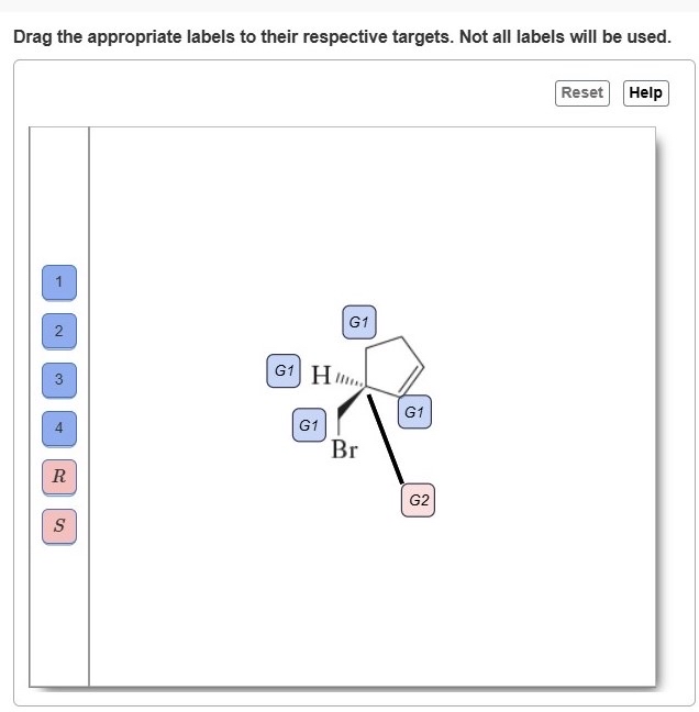 Solved Drag the appropriate labels to their respective | Chegg.com