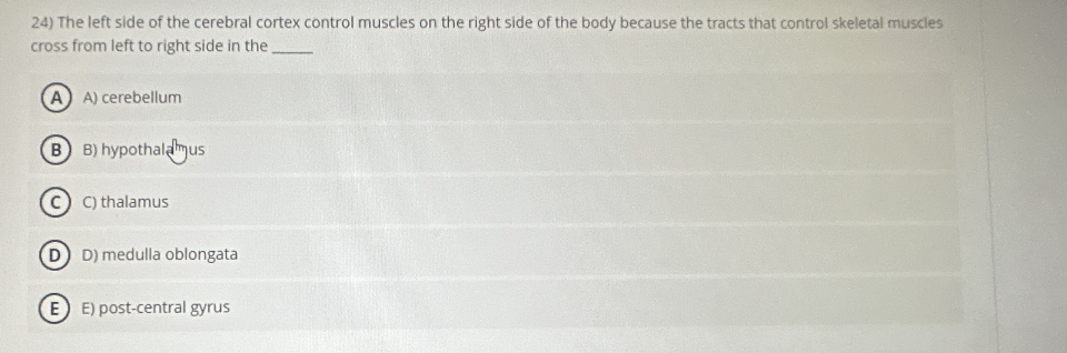 Solved The left side of the cerebral cortex control muscles | Chegg.com