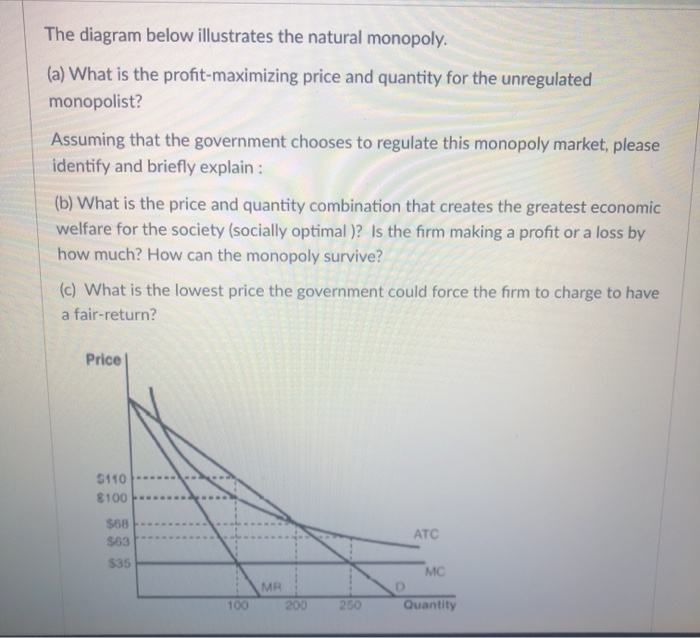 Solved The diagram below illustrates the natural monopoly. | Chegg.com