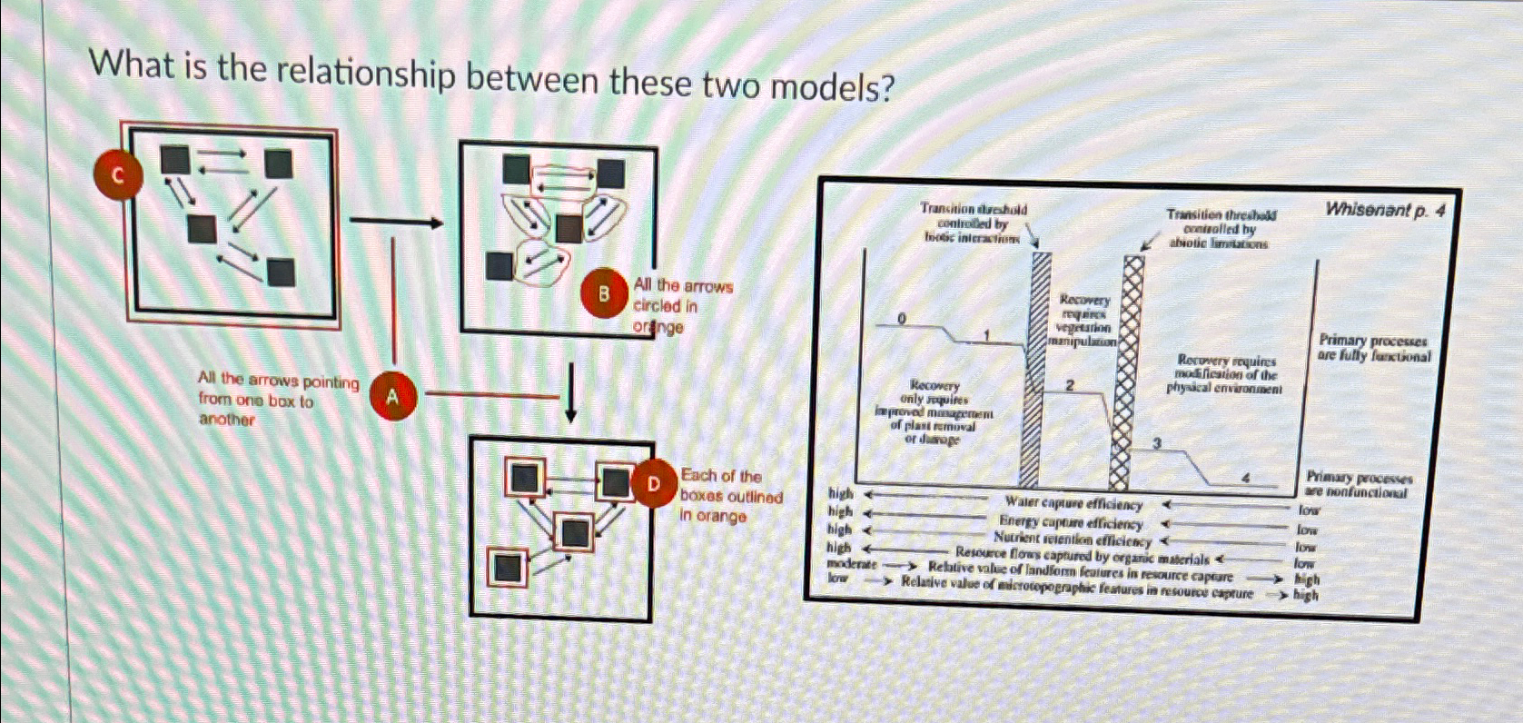 Solved What is the relationship between these two models? | Chegg.com