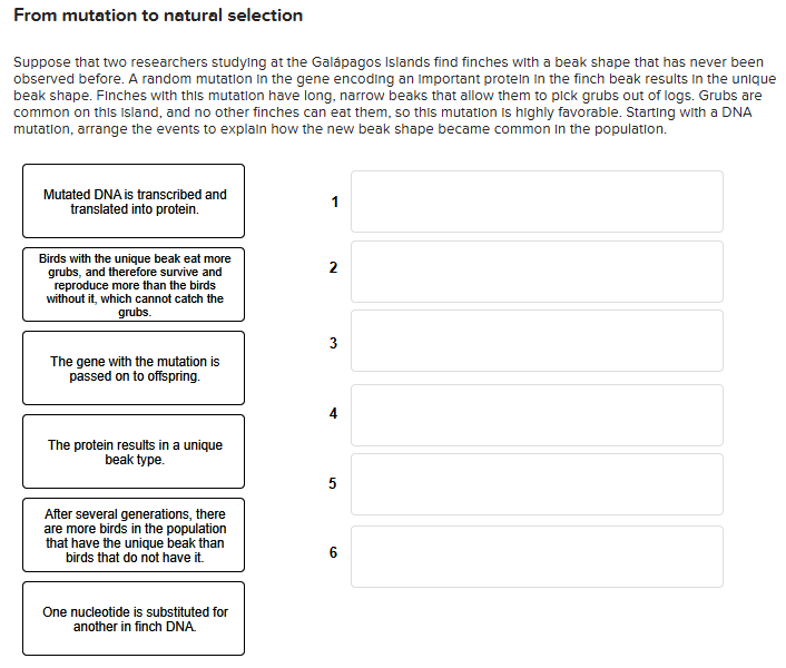 Solved From mutation to natural selectionSuppose that two | Chegg.com