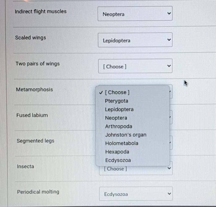 Solved Match up the following synapomorphic traits with the | Chegg.com