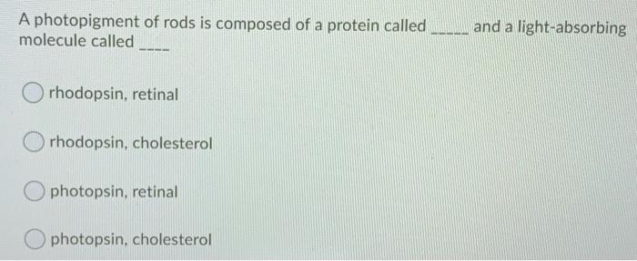 Solved A photopigment of rods is composed of a protein | Chegg.com