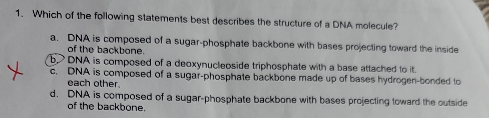 Solved Use your knowledge of nucleic acids and the codon | Chegg.com