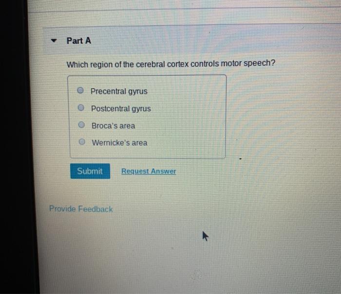 Solved Part A Identify the highlighted structures, Submit | Chegg.com