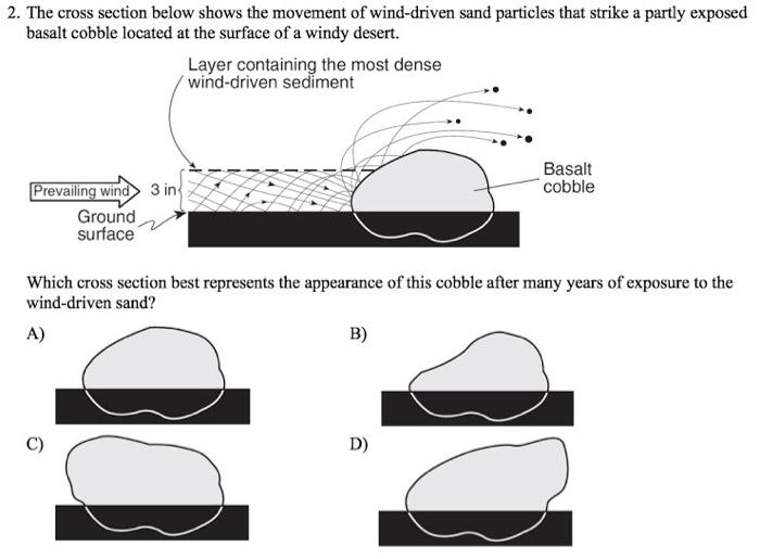 Solved 1. The diagram below represents the size and shape of | Chegg.com