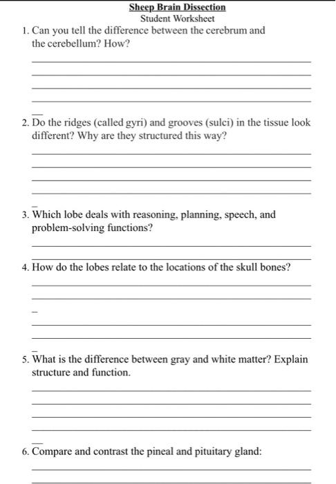 Solved Sheep Brain Dissection Student Worksheet 1. Can you | Chegg.com