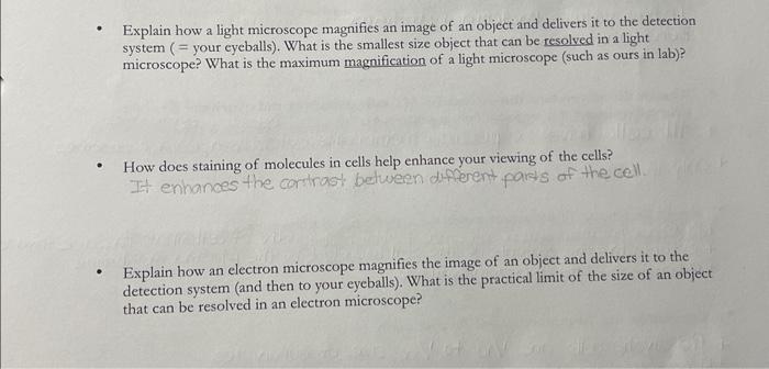 Solved Explain how a light microscope magnifies an image of | Chegg.com