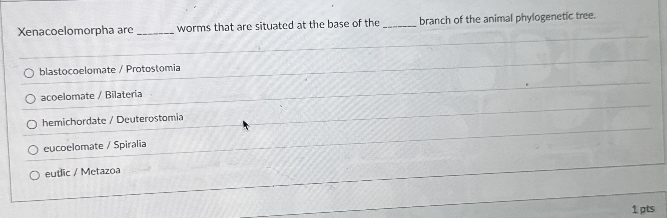 Solved Xenacoelomorpha areworms that are situated at the | Chegg.com