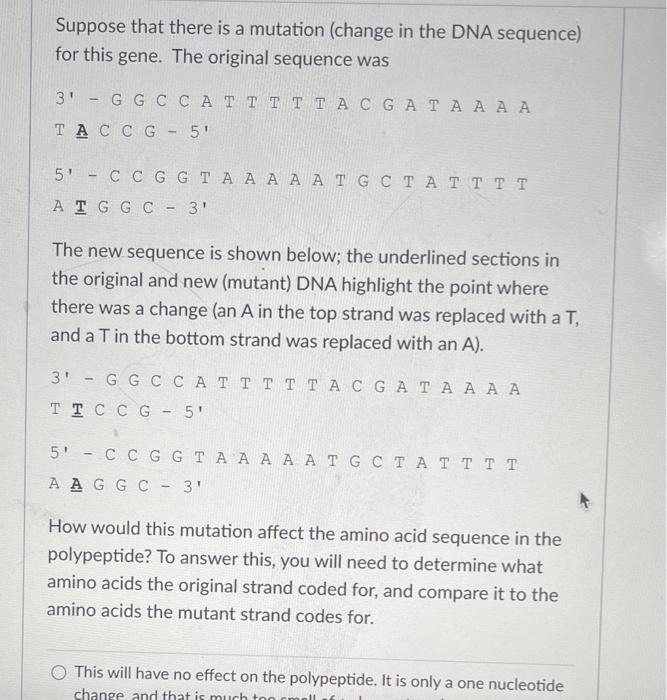 Solved Below is a section of double stranded DNA. The | Chegg.com