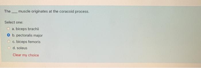 Solved The muscle originates at the coracoid process. Select | Chegg.com