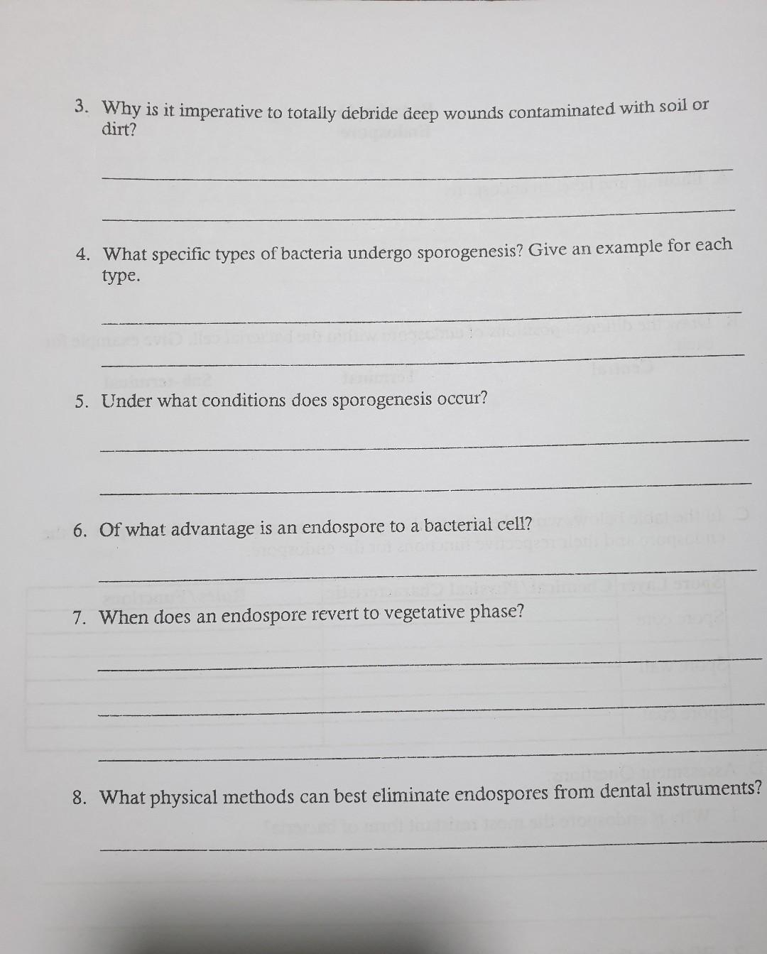 Solved A. Illustrate and label an endospore. B. Draw the | Chegg.com