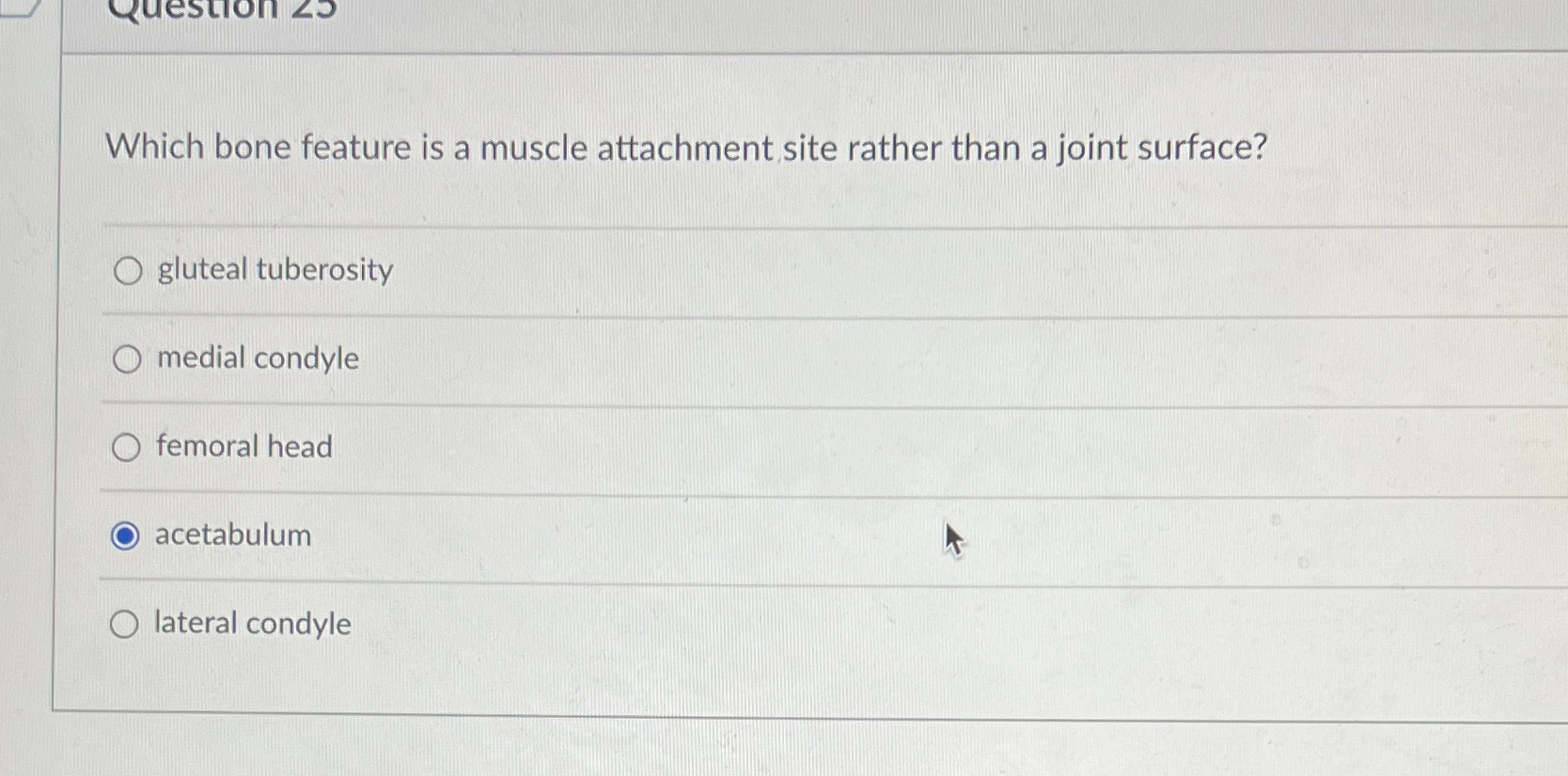 Solved Which bone feature is a muscle attachment site rather | Chegg.com