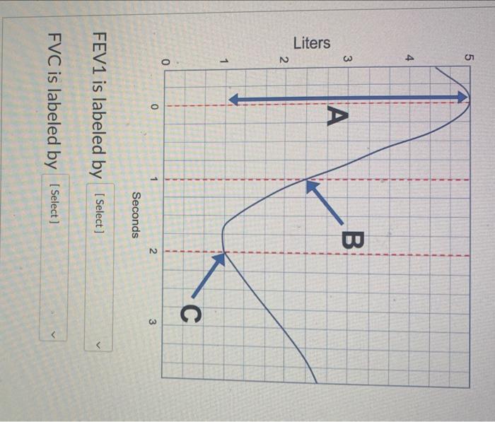 Solved FEV1 is labeled by [Select] FVC is labeled by | Chegg.com