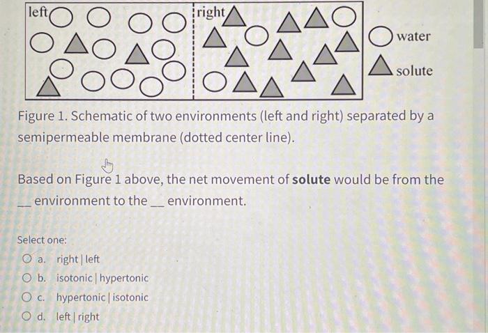 Solved Figure 1. Schematic of two environments (left and | Chegg.com