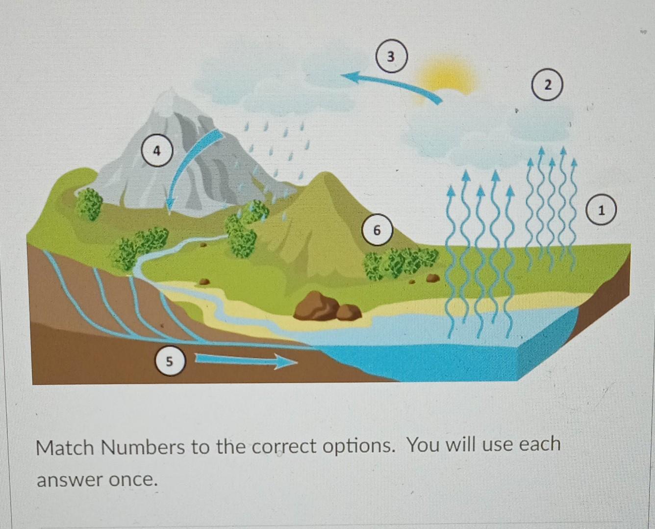 Solved Match Numbers to the correct options. You will use | Chegg.com