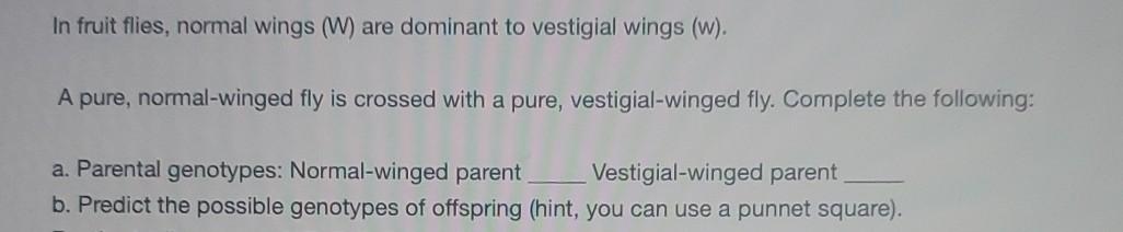 Solved In fruit flies, normal wings (W) are dominant to | Chegg.com