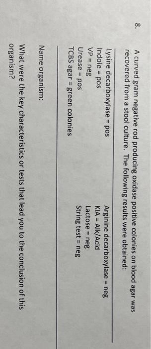 Solved 8. A curved gram negative rod producing oxidase | Chegg.com