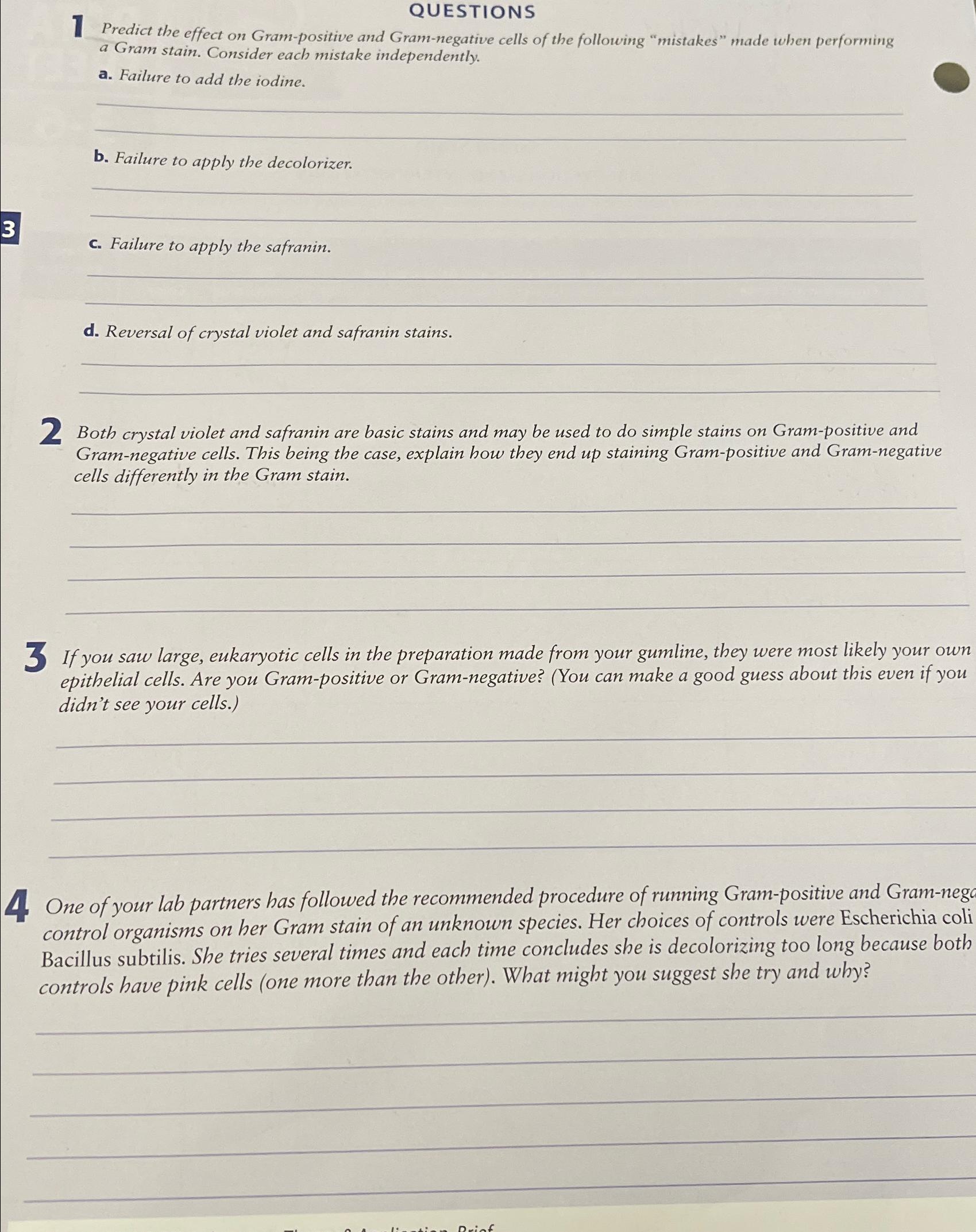 Solved QUESTIONS1 ﻿Predict the effect on Gram-positive and | Chegg.com