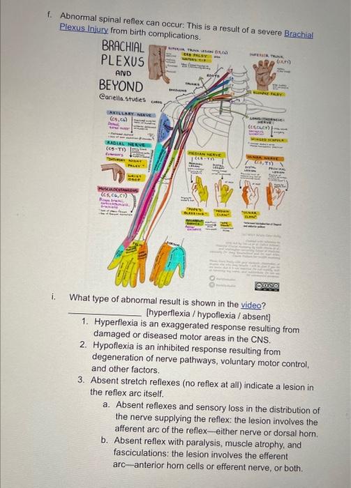 f. Abnormal spinal reflex can occur: This is a result | Chegg.com