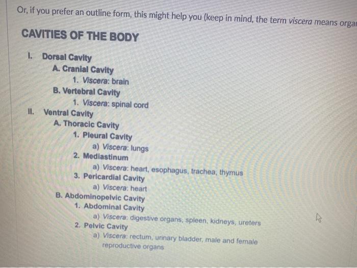 Solved From broad to specific, name the cavities that house | Chegg.com