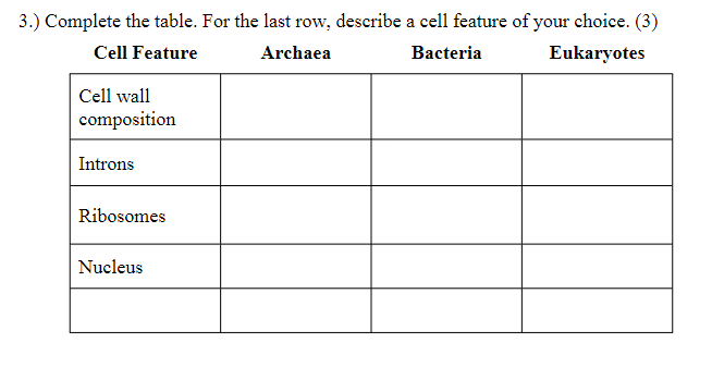 Archaea Bacteria