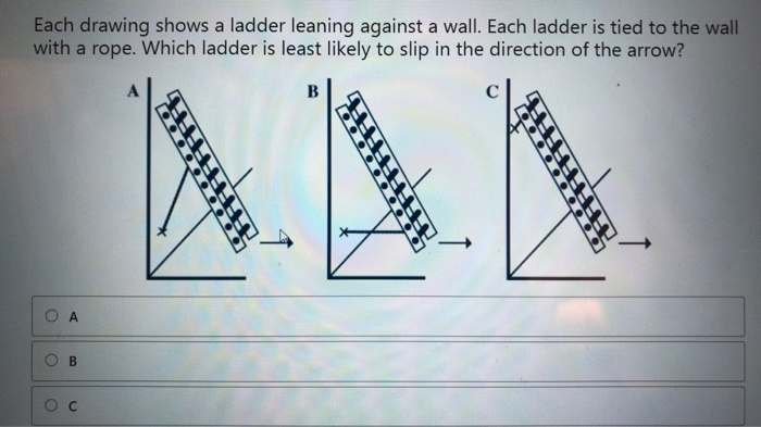 Solved Both salt shakers are half full of salt. Which shaker | Chegg.com
