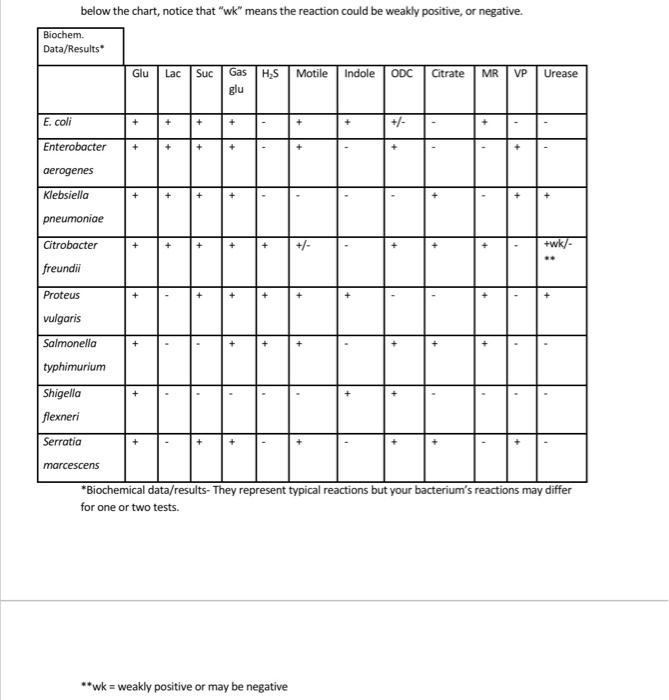Solved Part 2 (15 points): Flow Chart. Begin with your TSI | Chegg.com