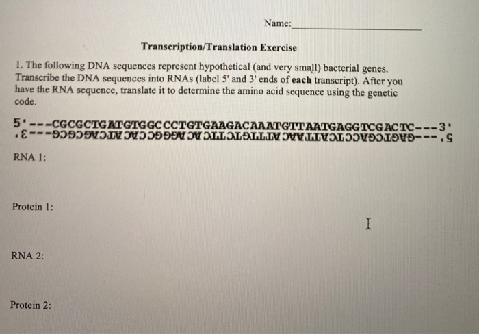 Solved Name: Transcription/Translation Exercise 1. The | Chegg.com