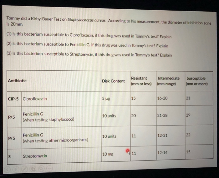 Solved Tommy did a Kirby-Bauer Test on Staphylococcus | Chegg.com