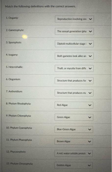 Solved Match the following definitions with the correct | Chegg.com
