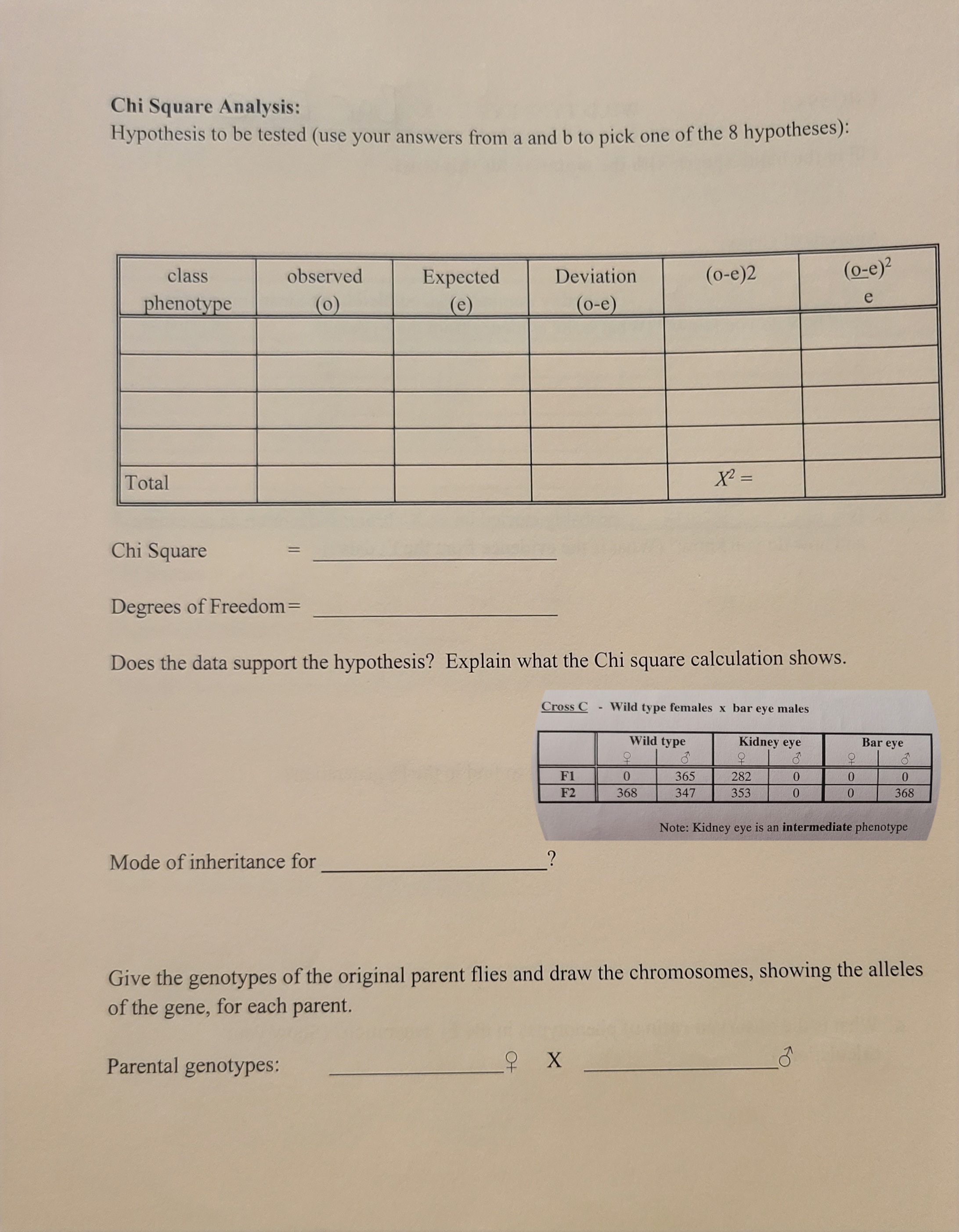 Solved Chi Square Analysis:Hypothesis to be tested (use your | Chegg.com