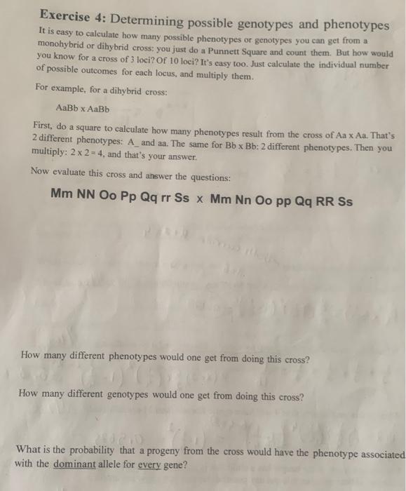 Solved Exercise 4: Determining possible genotypes and | Chegg.com